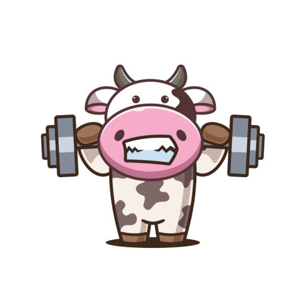 Fat cow png, Fat cow in gym cute illustration, Fat cow workout vector ...