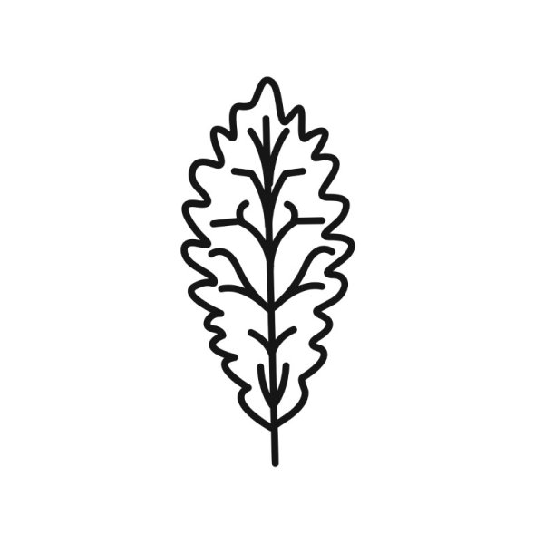 Leaves simple vector png - freepng