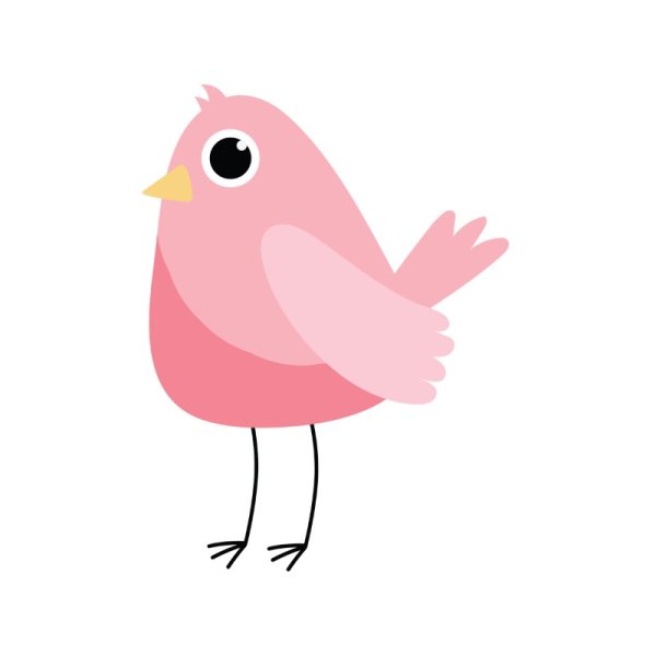 Bird png small pink vector bird cute bird - freepng