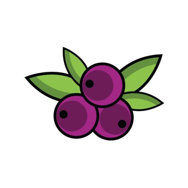 Purple acai fruit png vector cartoon style - freepng