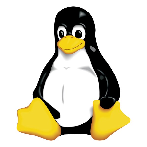 Linux Tux Logo Vector Png | Friendly Penguin Mascot Illustration - freepng