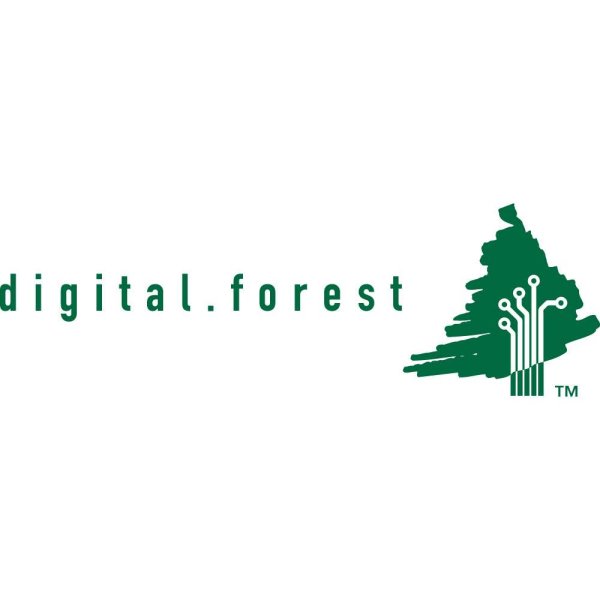 Digital Forest Logo Png | Digital Forest Logo Vector | Digital Forest ...